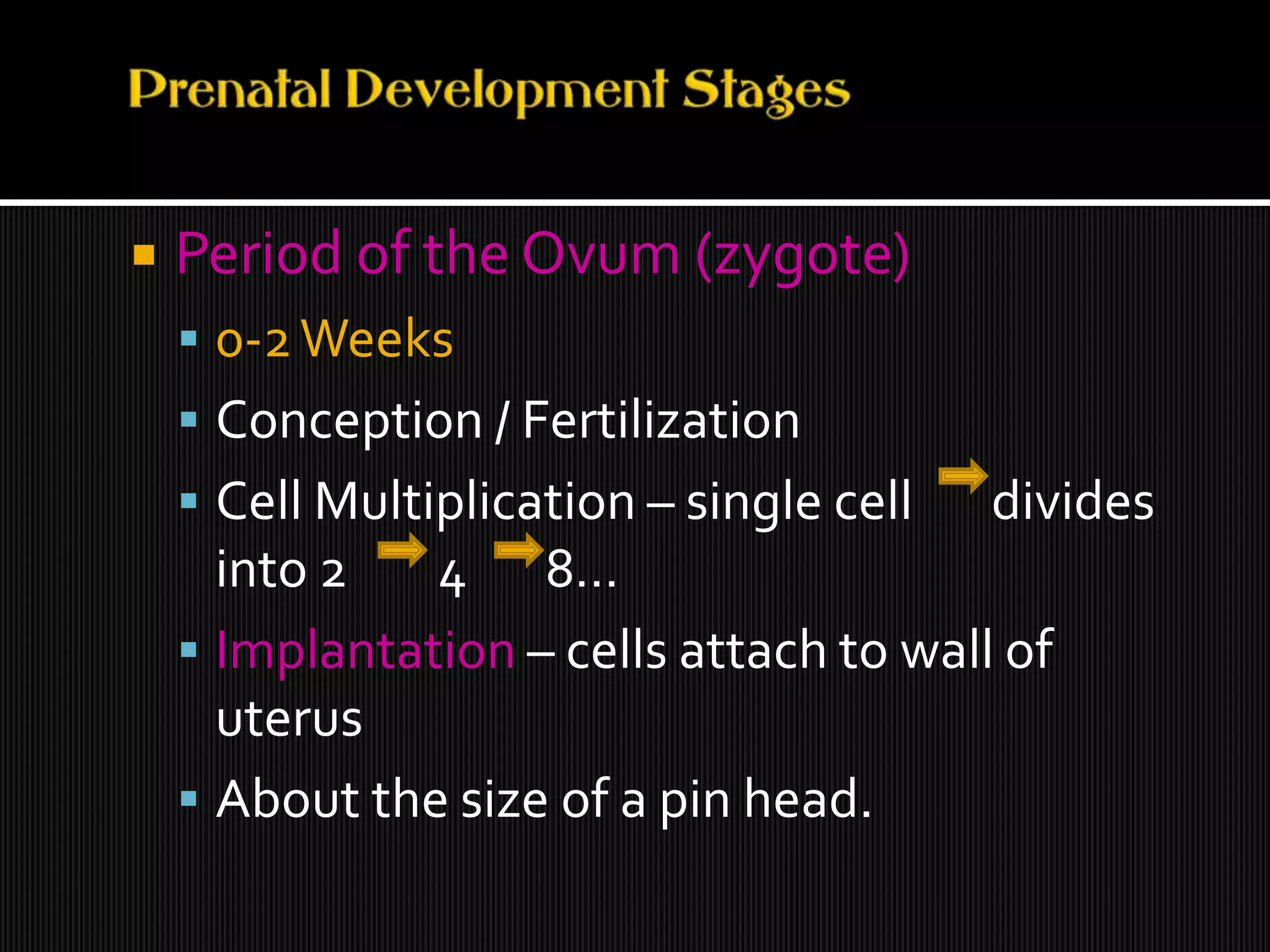 Prenatal development | PPT