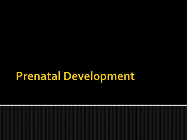 Prenatal development | PPT