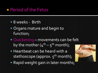 Prenatal development | PPT