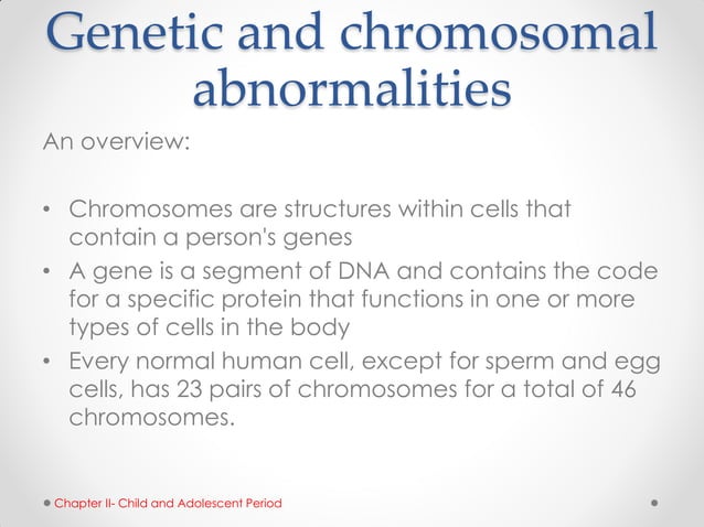 Prenatal Development | PDF