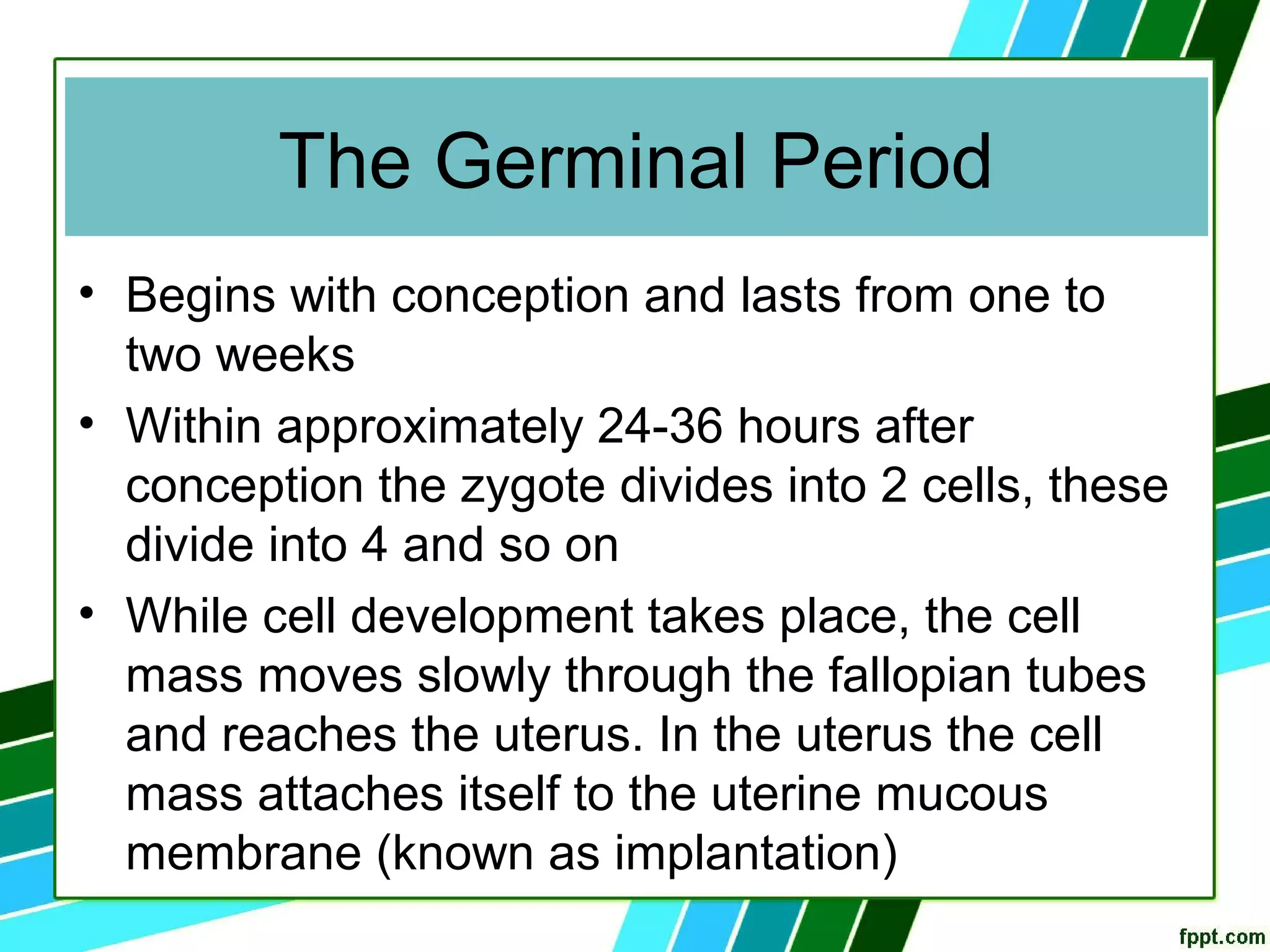 Pre natal development | PPT