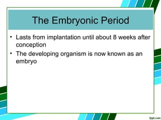 Pre natal development | PPT