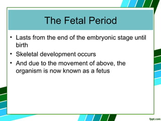 Pre natal development | PPT