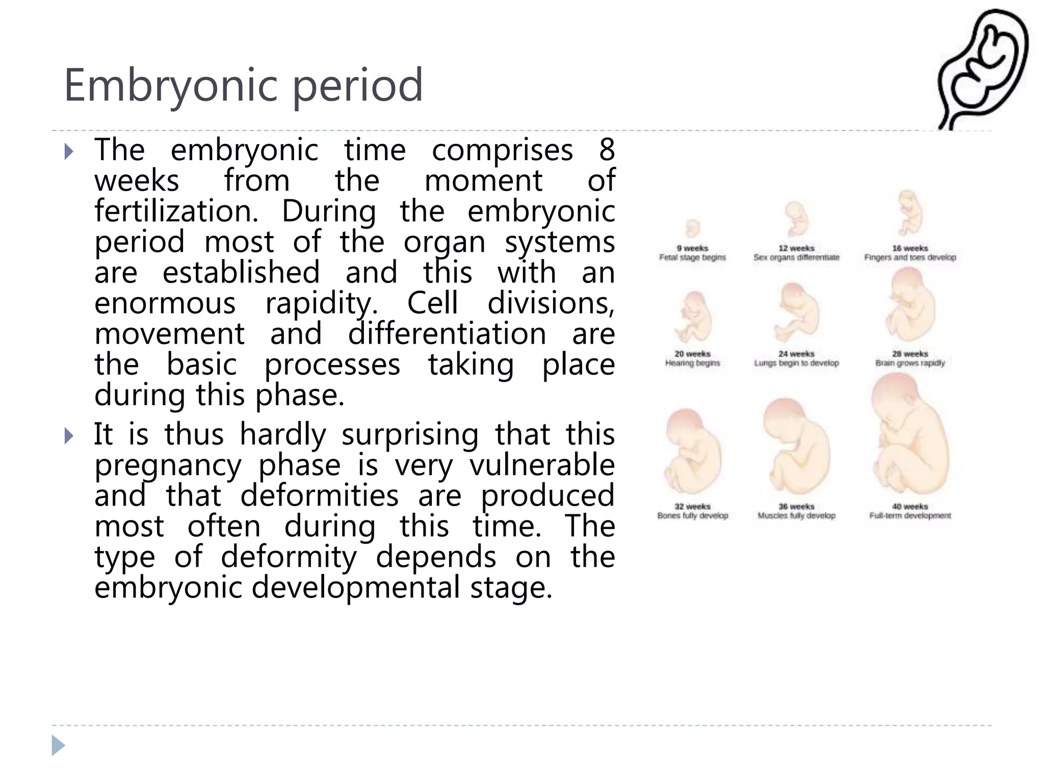 Prenatal development | PPT