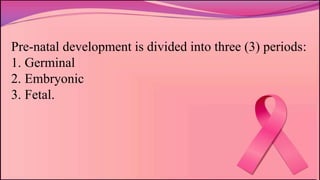 Prenatal development | PPT
