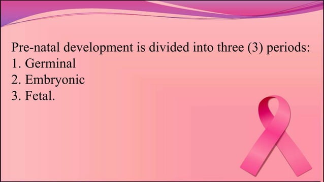 Prenatal development | PPT