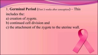Prenatal development | PPTX