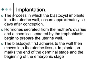 Prenatal development.ppt