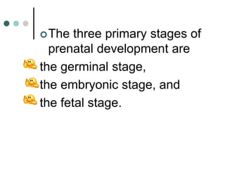 Prenatal development.ppt