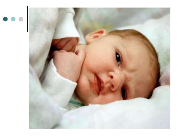 Prenatal development.ppt