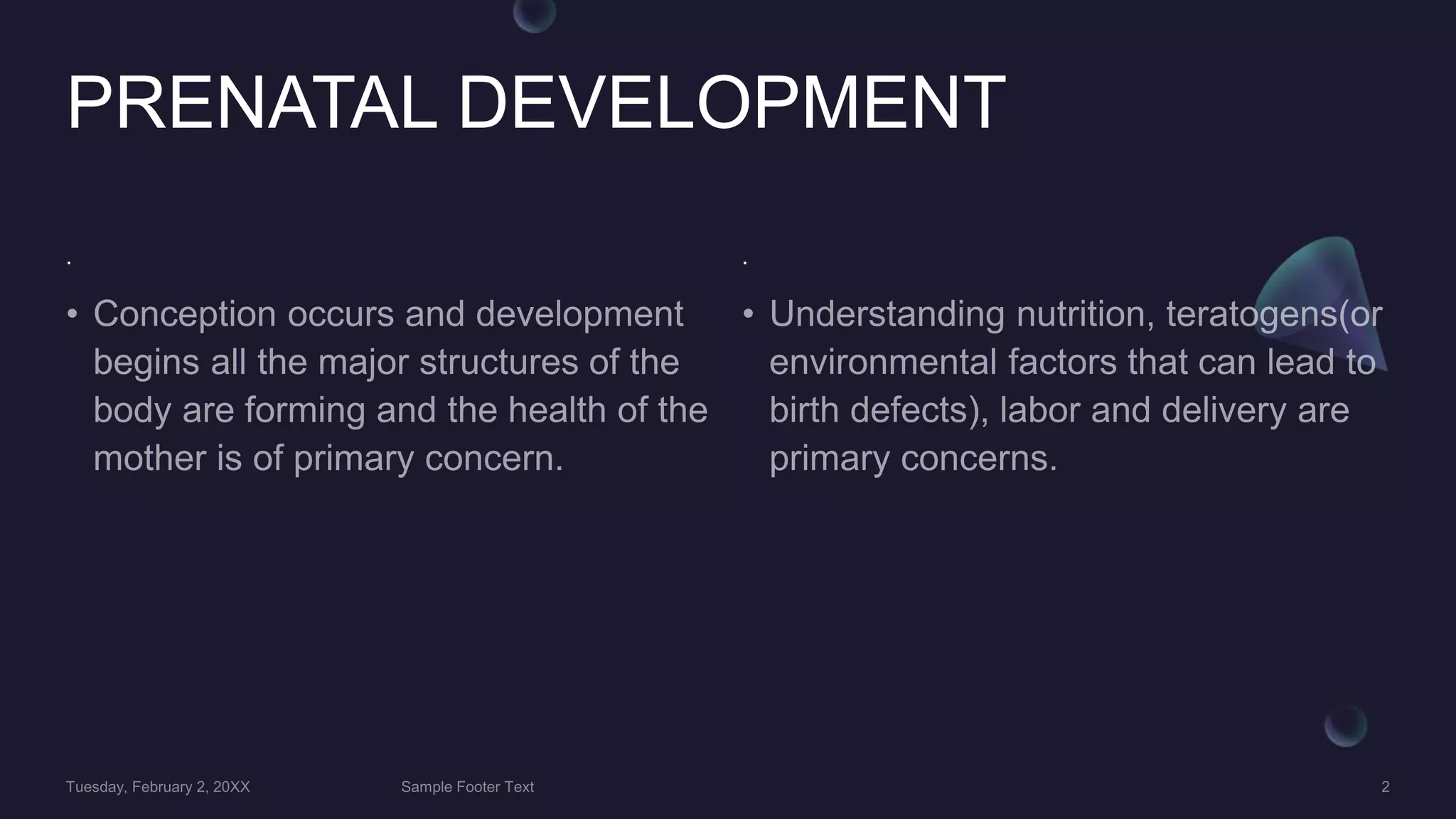 Prenatal Development | PPT