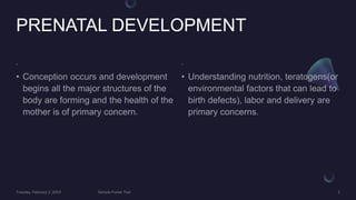 Prenatal Development | PPT