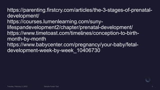 Prenatal Development | PPT