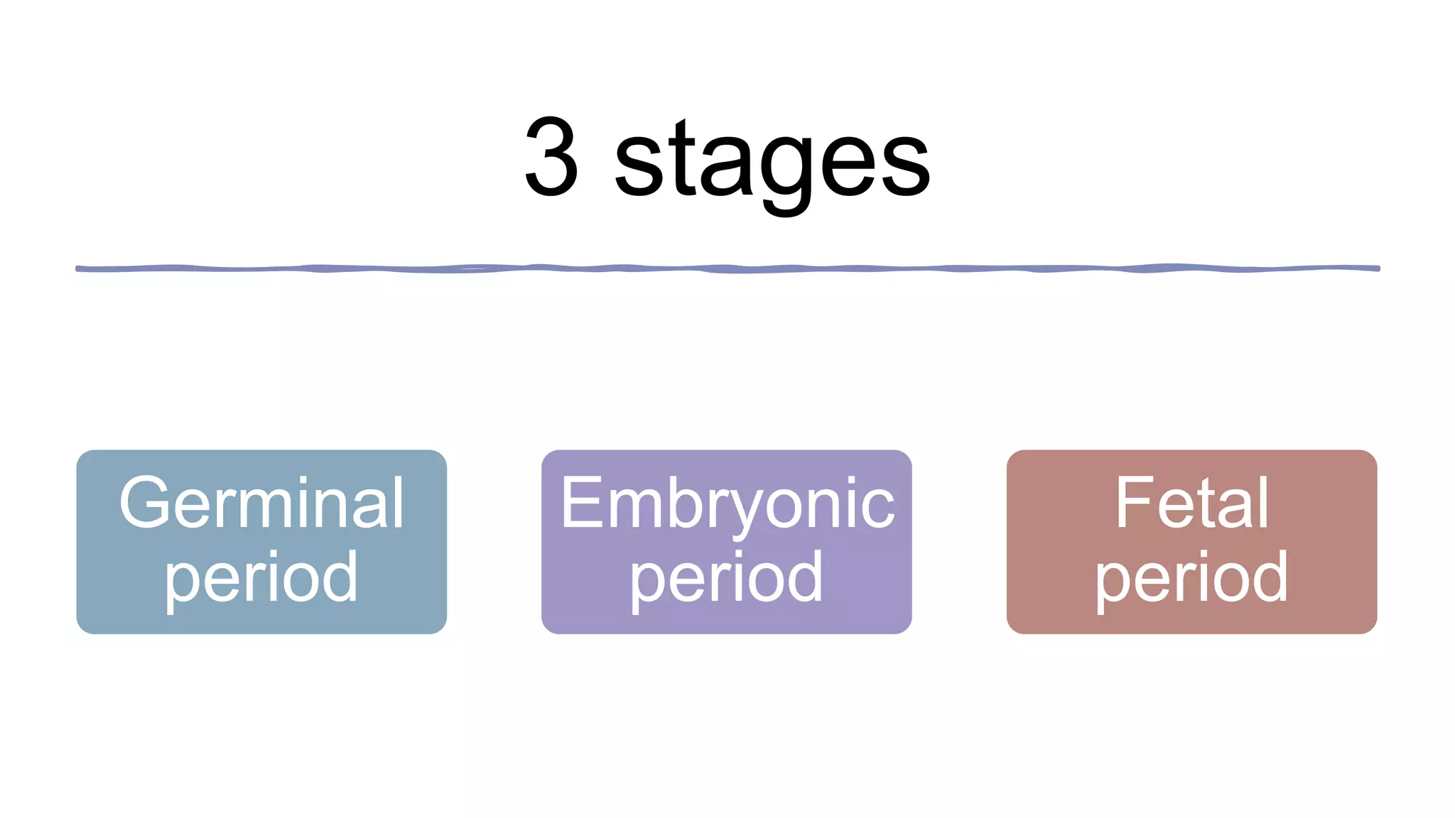 Prenatal Development.pptx