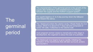 Prenatal Development.pptx