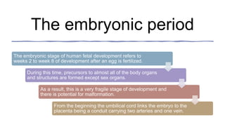 Prenatal Development.pptx