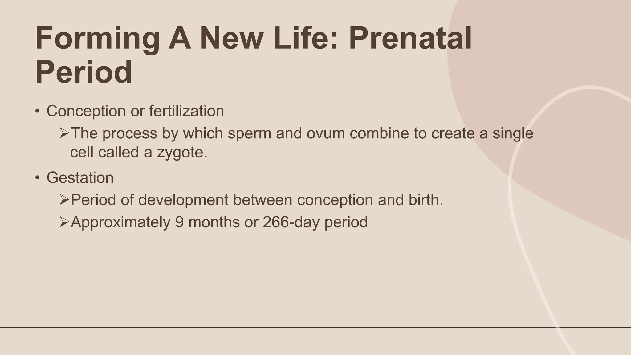 Prenatal development in developmental psychology | PPTX