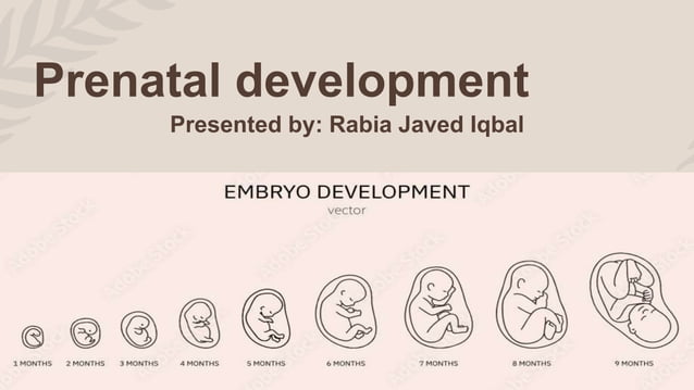 Prenatal development in developmental psychology | PPTX