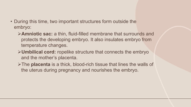 Prenatal development in developmental psychology | PPTX