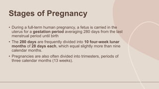 Prenatal development in developmental psychology | PPTX