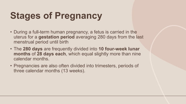 Prenatal development in developmental psychology | PPTX