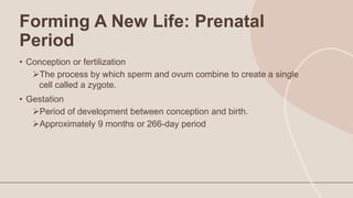 Prenatal development in developmental psychology | PPTX
