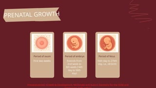 Prenatal Development of Cranium, Jaw and Face | PPTX