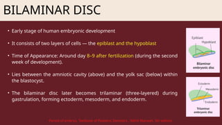 Prenatal Development of Cranium, Jaw and Face | PPTX