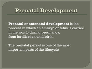Pre-natal development | PPT