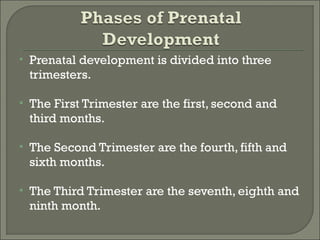 Pre-natal development | PPT