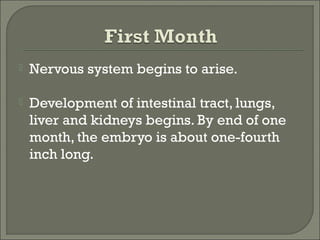 Pre-natal development | PPT