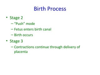 Prenatal development birth | PPT