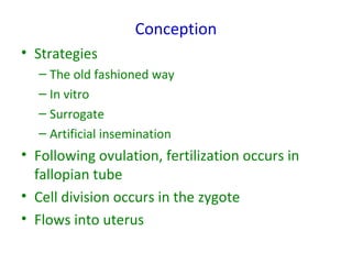 Prenatal development birth | PPT
