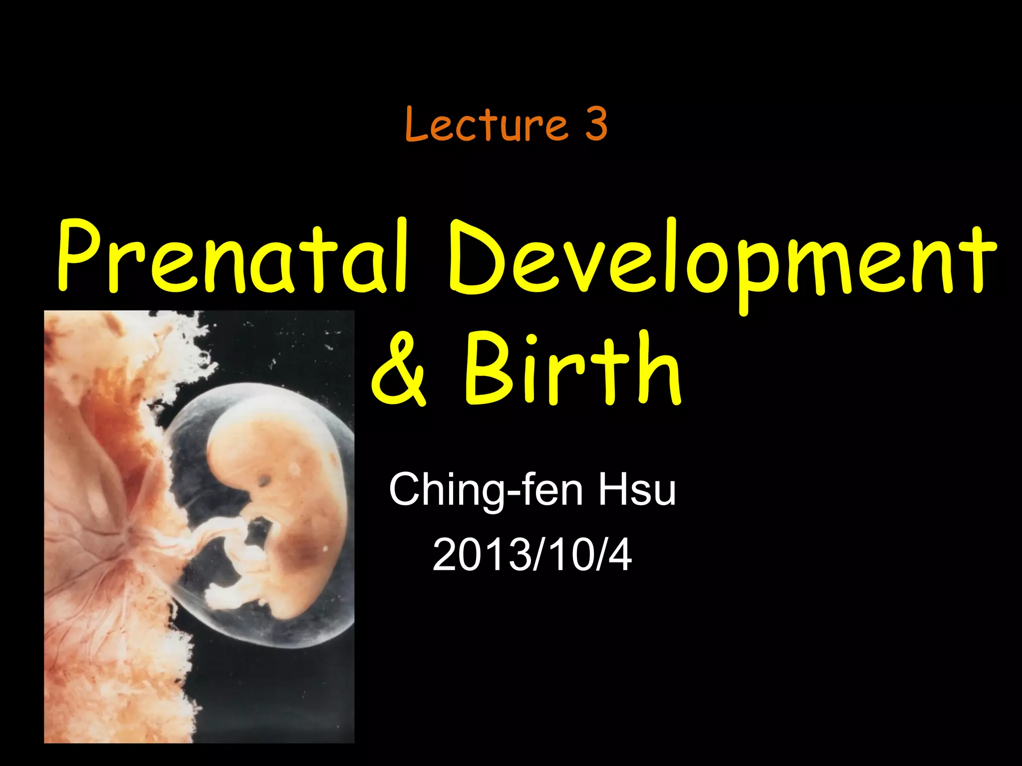Prenatal development&birth 3[1] | PDF