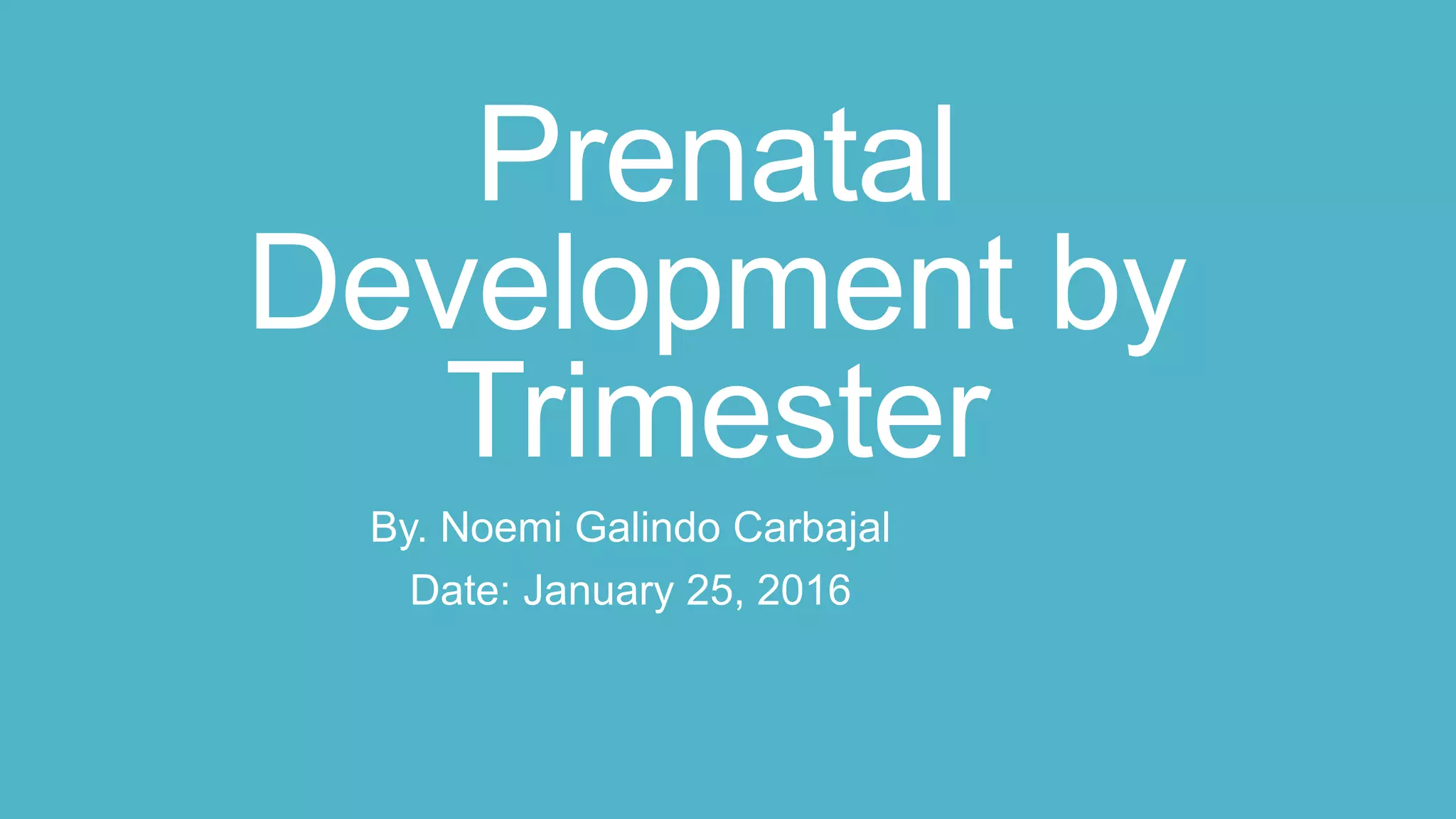 Prenatal development by trimester | PPT