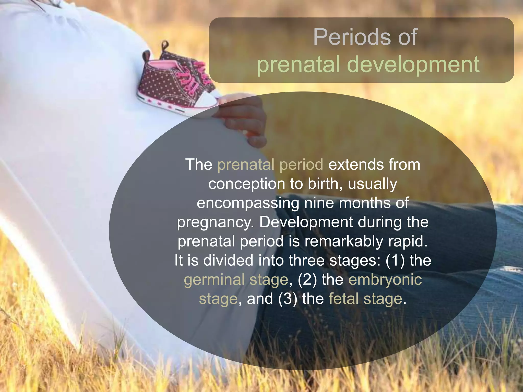 Prenatal development from conception to birth (bsp 1-b) | PPTX