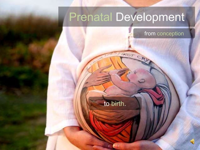 Prenatal development from conception to birth (bsp 1-b) | PPTX