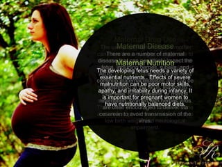 Prenatal development from conception to birth (bsp 1-b) | PPTX