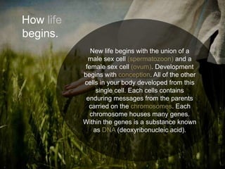 Prenatal development from conception to birth (bsp 1-b) | PPTX