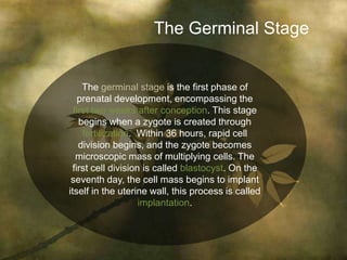 Prenatal development from conception to birth (bsp 1-b) | PPTX