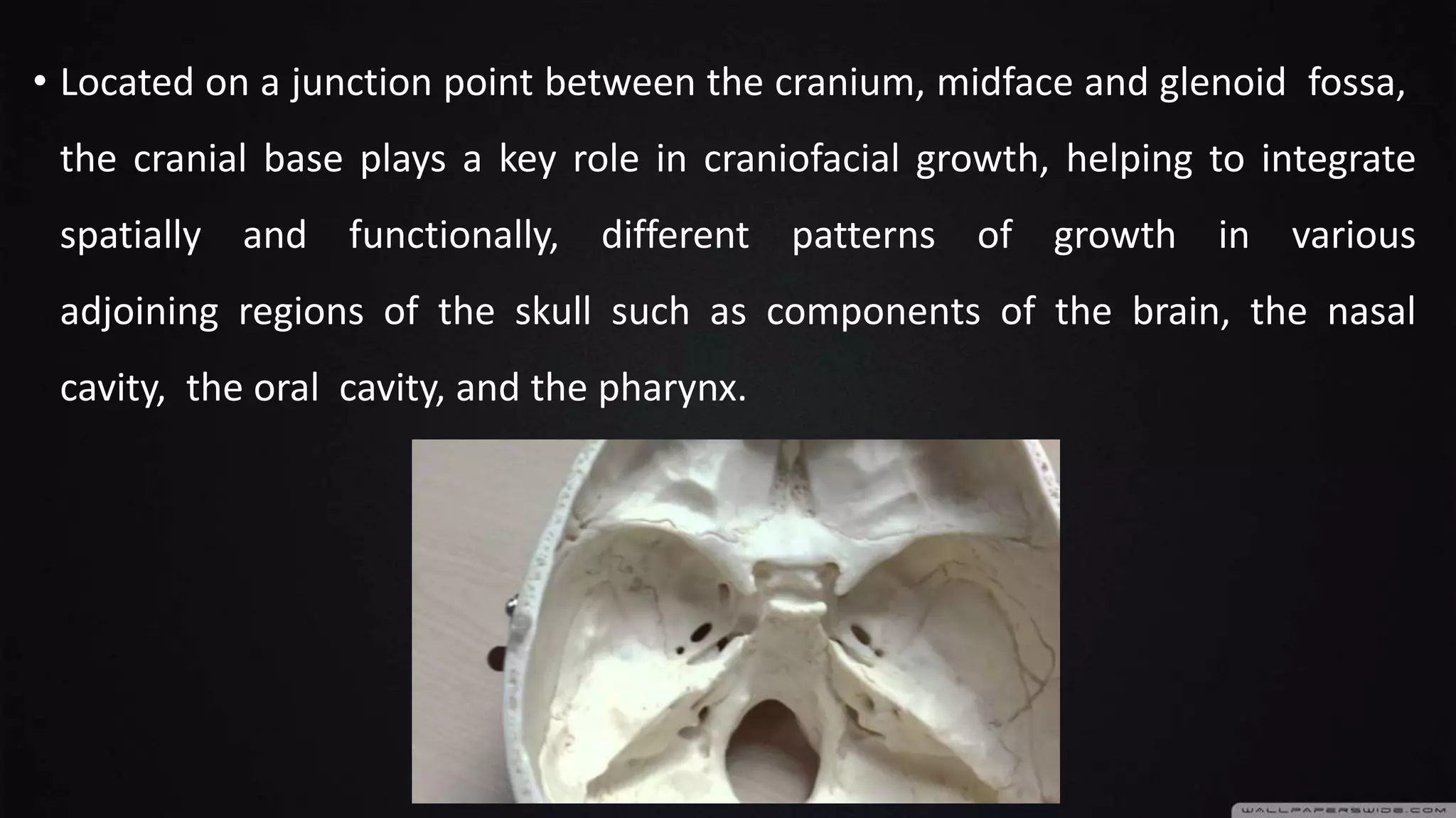 Prenatal development of cranial base | PPTX