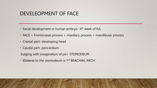 prenatal development of craniofacial region lecture.pptx