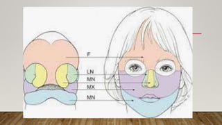 prenatal development of craniofacial region lecture.pptx