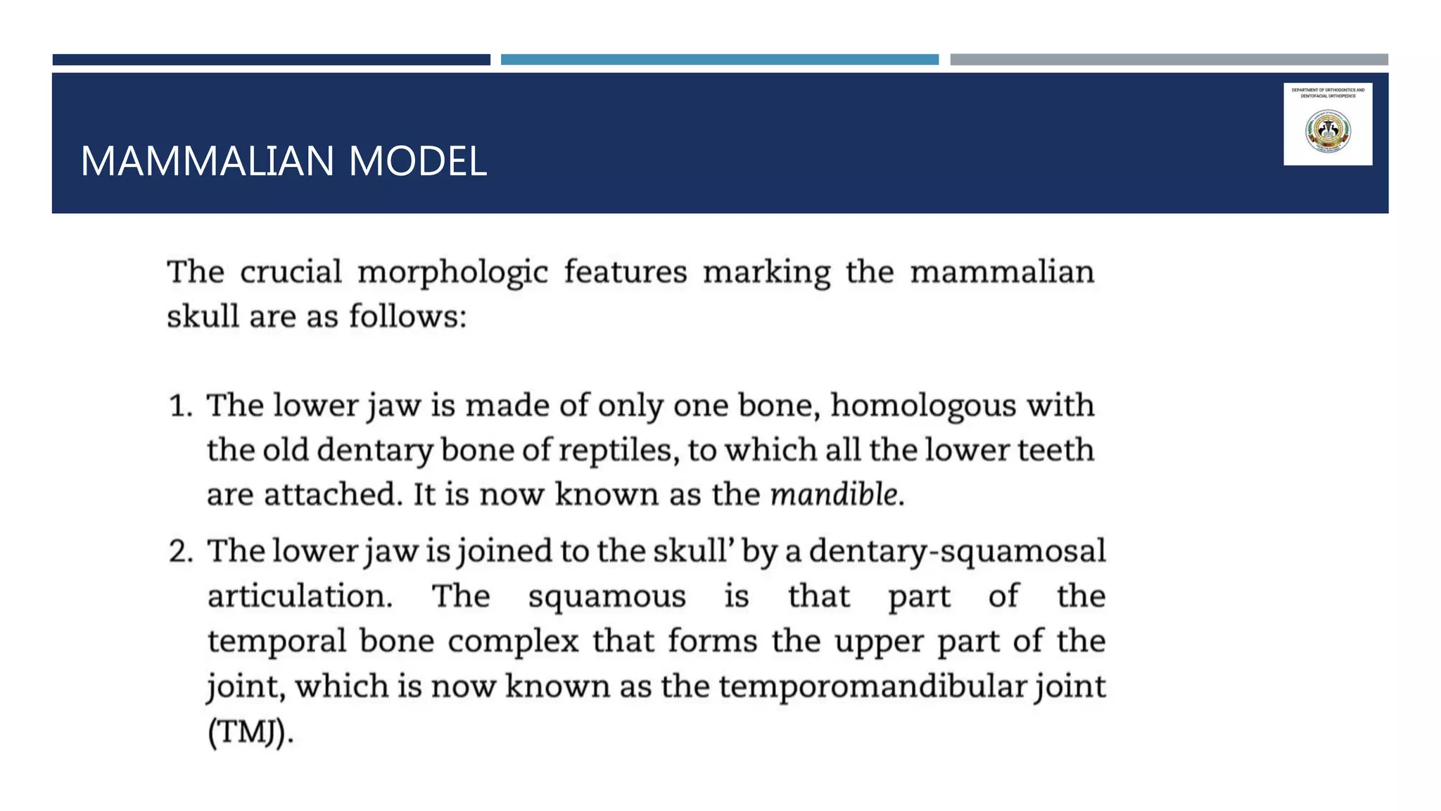 Prenatal development of mandible | PPTX