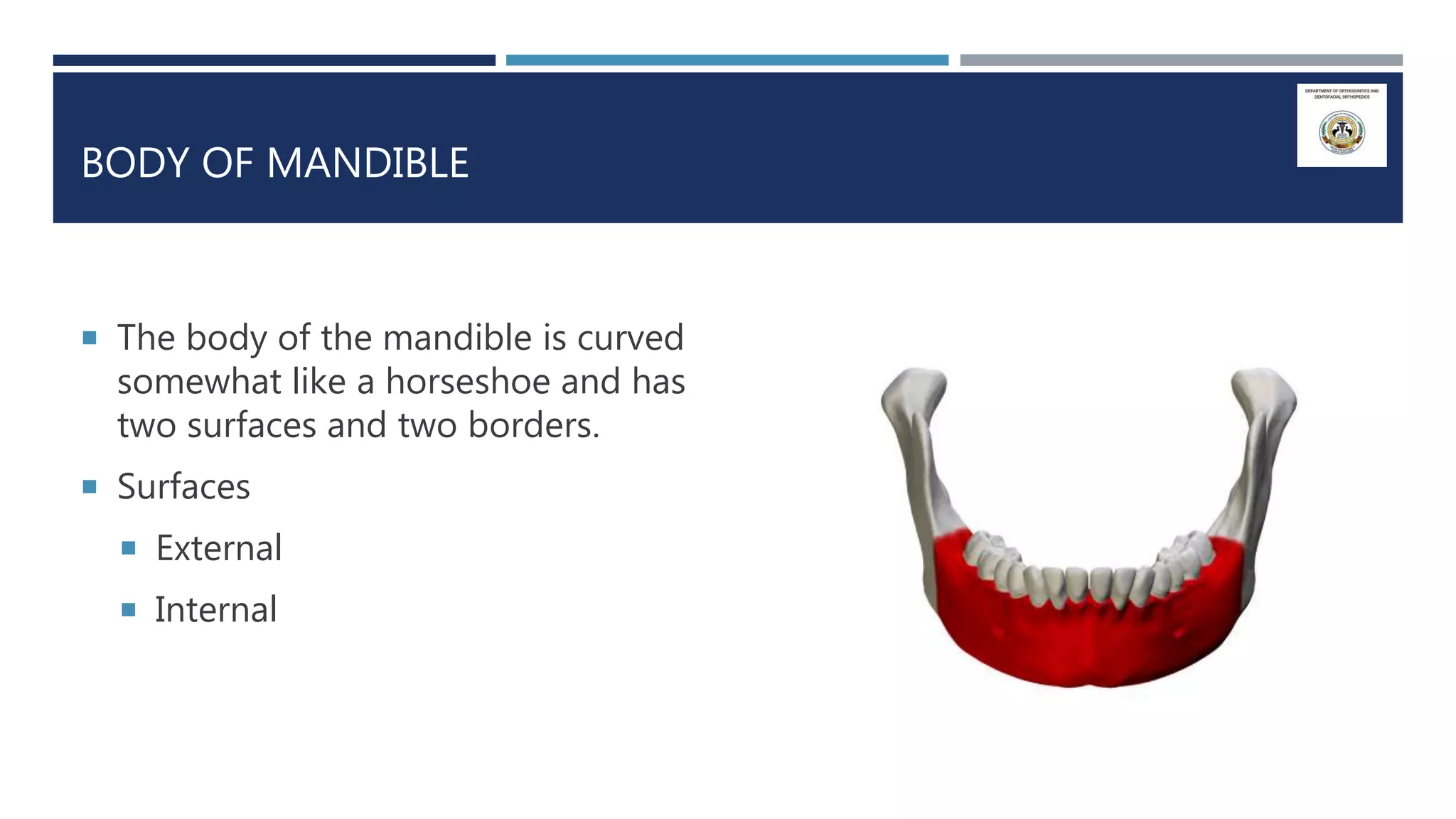 Prenatal development of mandible | PPTX