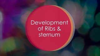 Prenatal development of skeletal system | PDF