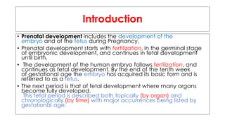 Prenatal development of skeletal system | PDF