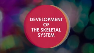 Prenatal development of skeletal system | PDF