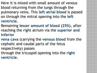 Prenatal development of the fetus,fetal membranes | PPTX