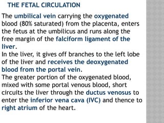 Prenatal development of the fetus,fetal membranes | PPTX